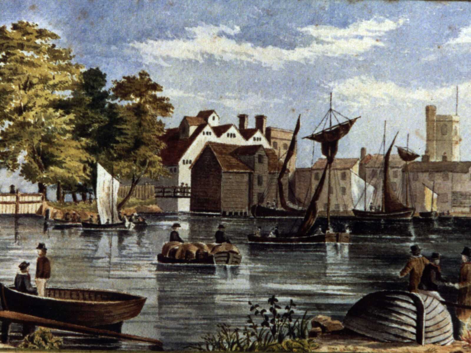 The River Roding with Mark Watson – Totally Thames | Thames Festival Trust