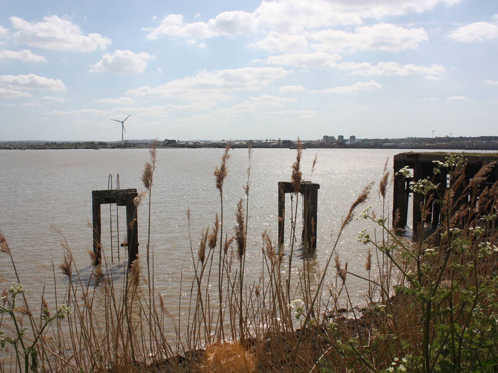 Through the Marshes – Totally Thames | Thames Festival Trust