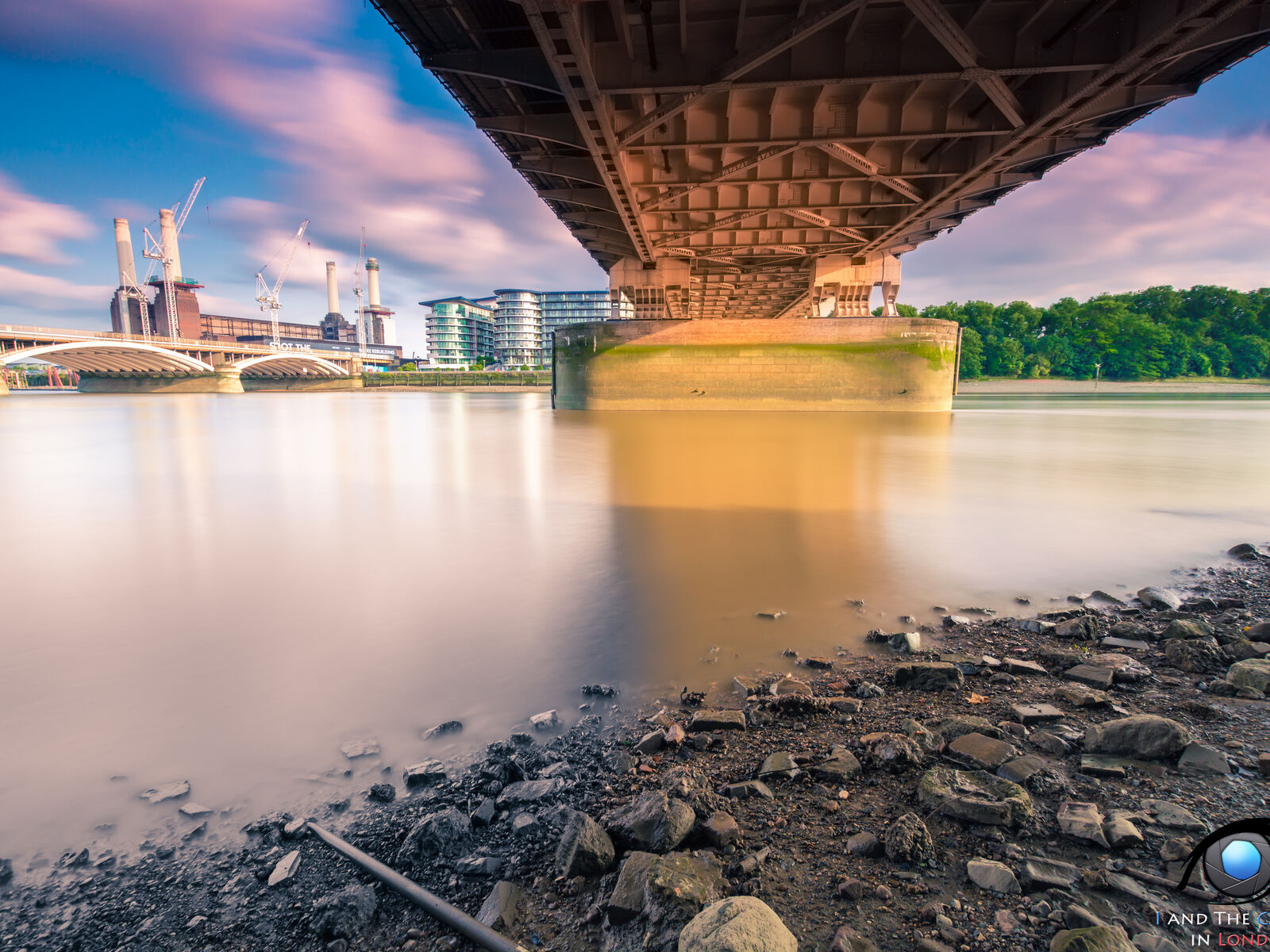 The Living Thames – Totally Thames | Thames Festival Trust