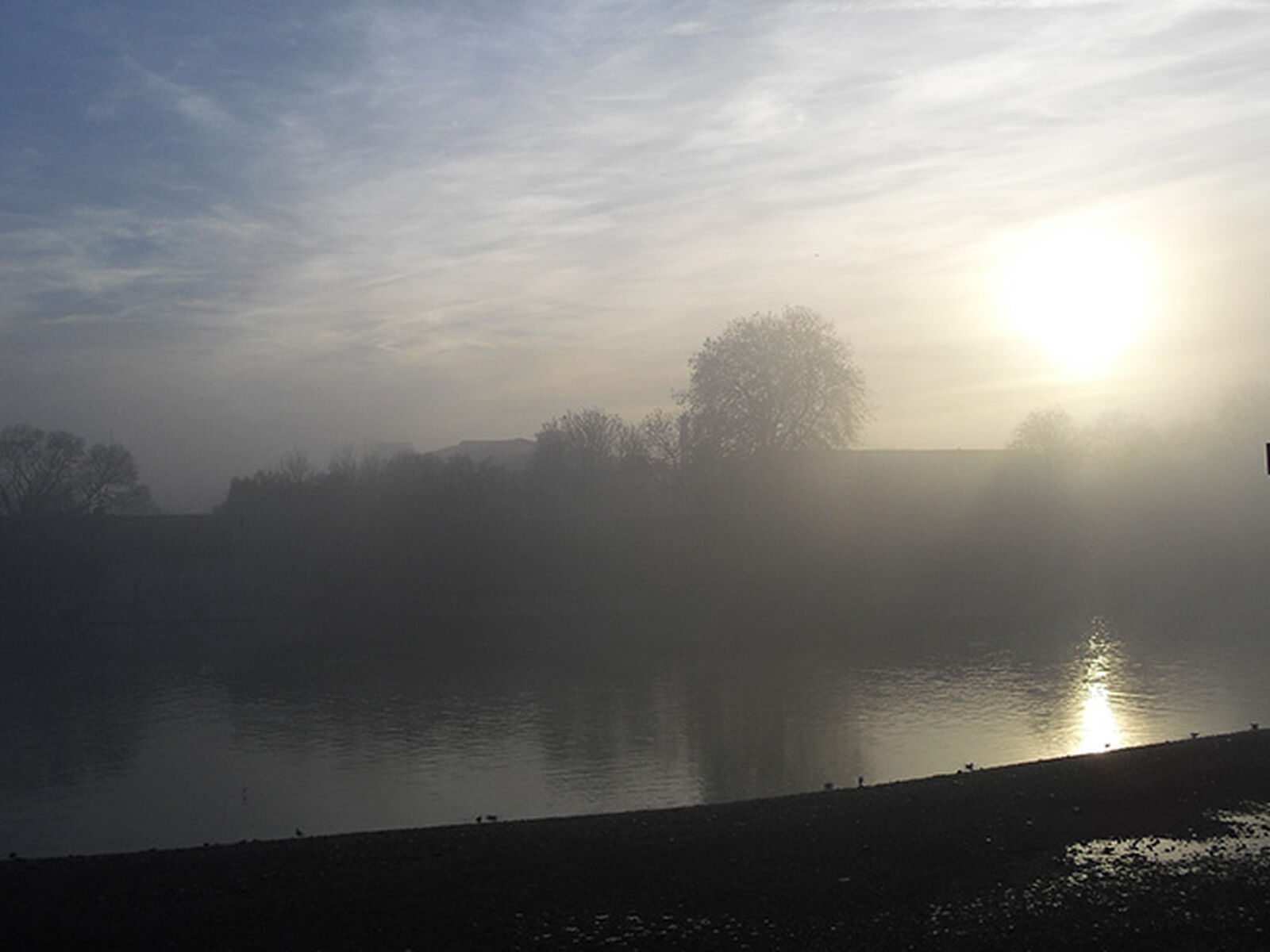 Hammersmith Riverside Walk – Totally Thames | Thames Festival Trust