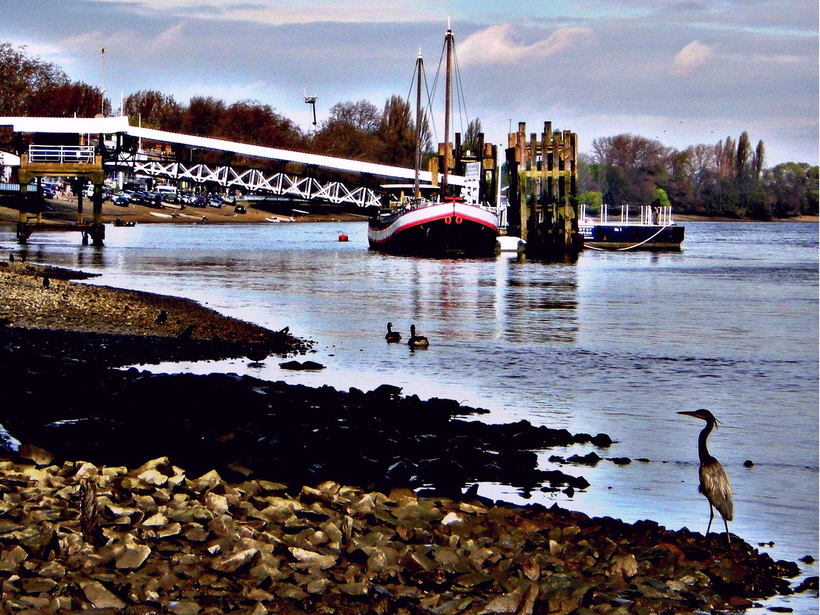 Walk from Wandle/Thames Delta – Totally Thames | Thames Festival Trust