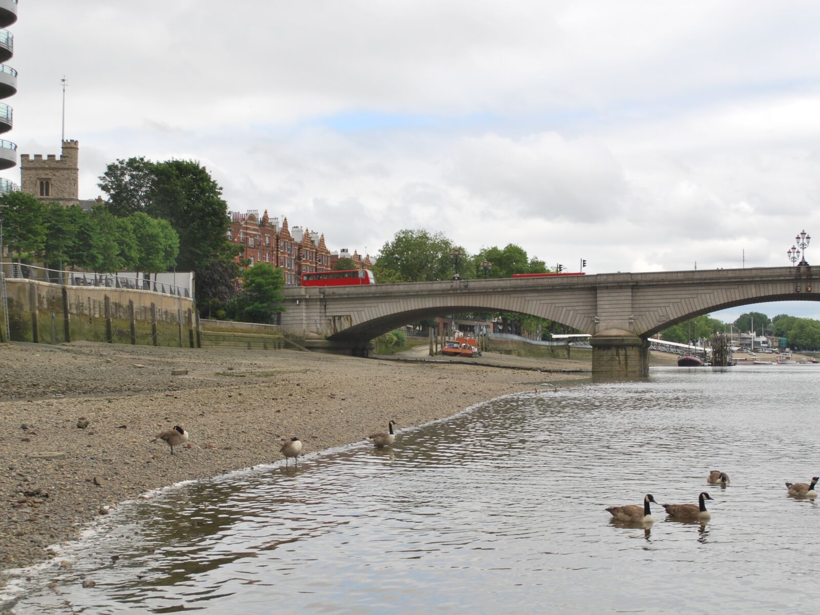 Discovering Putney's Historic Riverside – Totally Thames | Thames ...