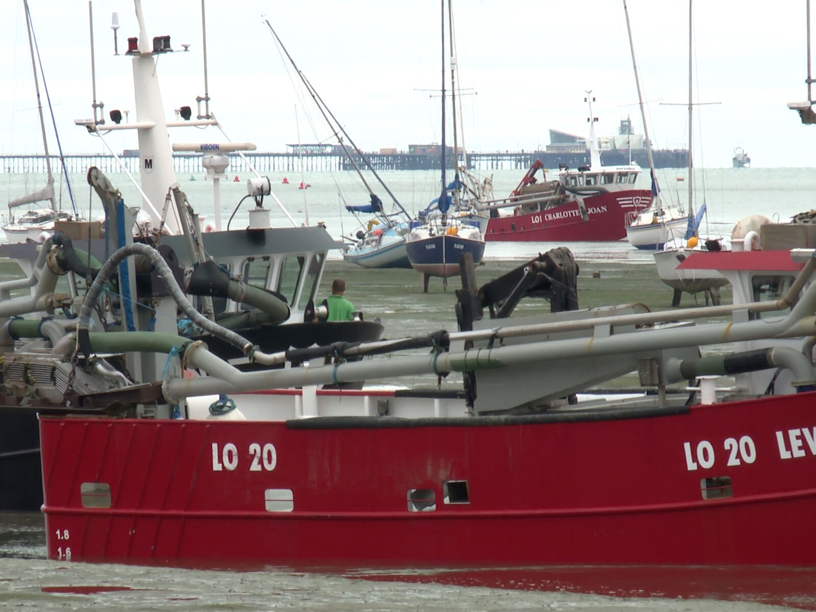 Join director Dorothy Leiper and Thames Estuary Partnership for a ... Join director Dorothy Leiper and Thames Estuary Partnership for a ...