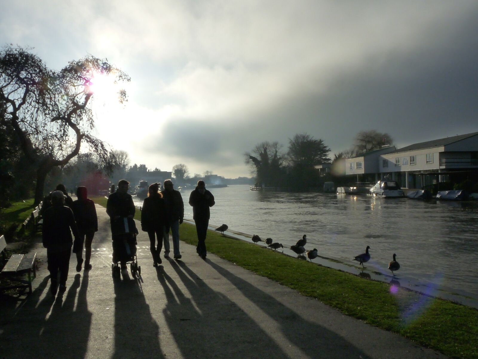 The Course of the River Effra Walk – Totally Thames | Thames Festival Trust